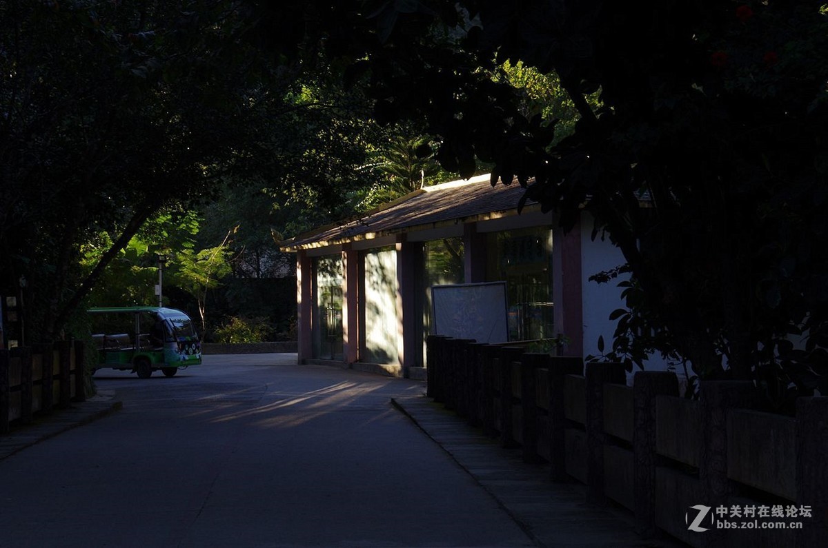 『西双版纳的傍晚』123...12P-中关村在线摄影论坛