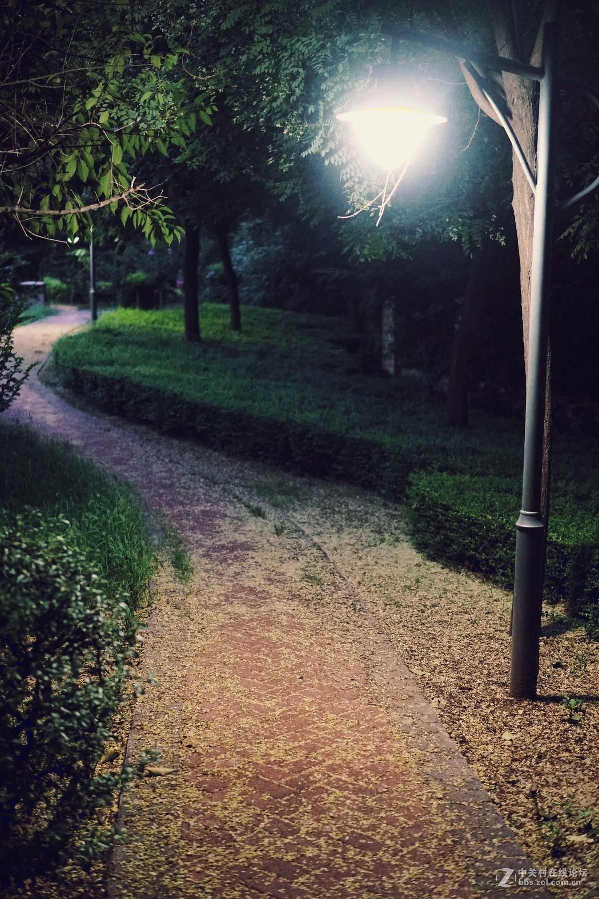 a7r2 +半福适马 30 1.4-中关村在线摄影论坛