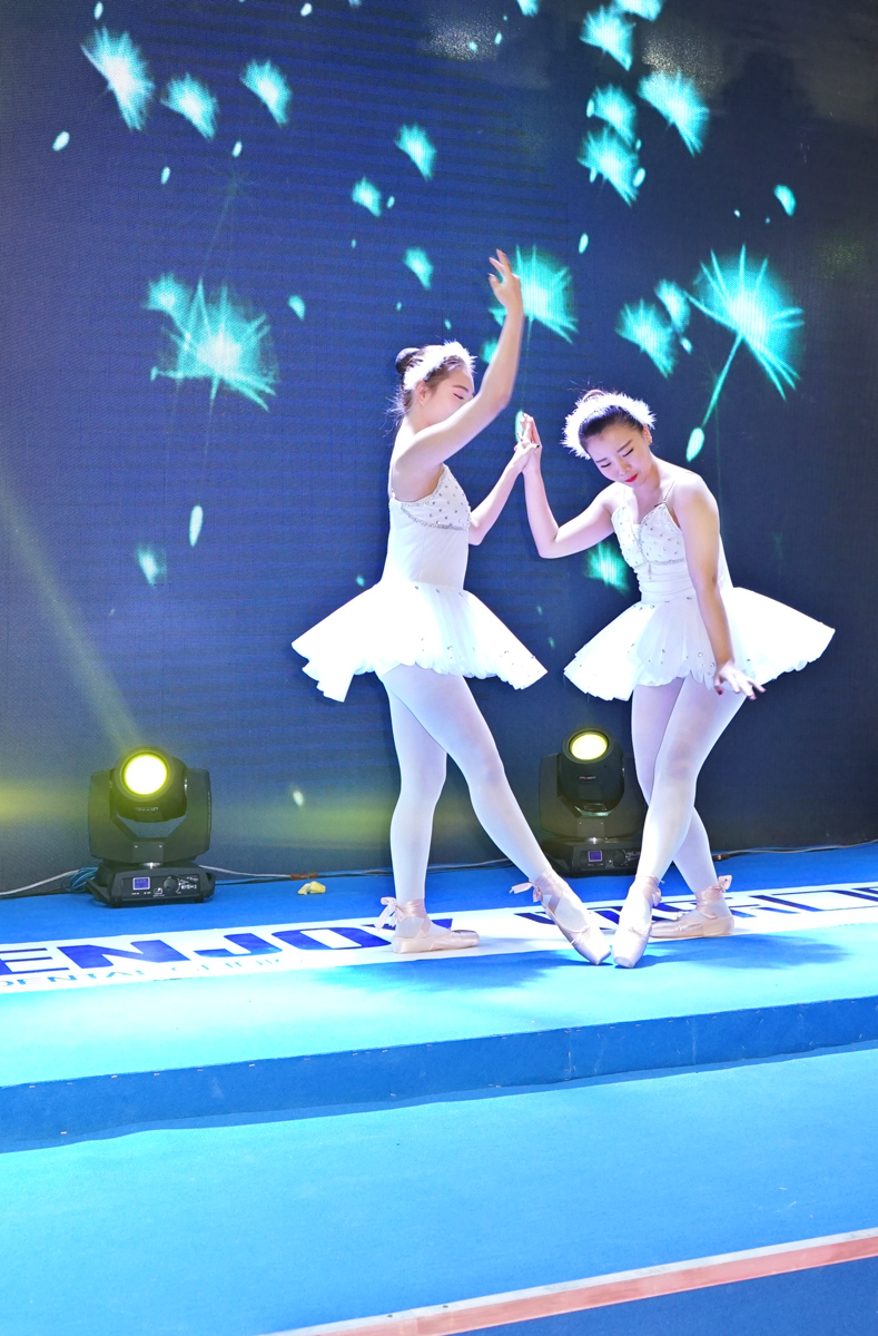 小天鹅舞-中关村在线摄影论坛