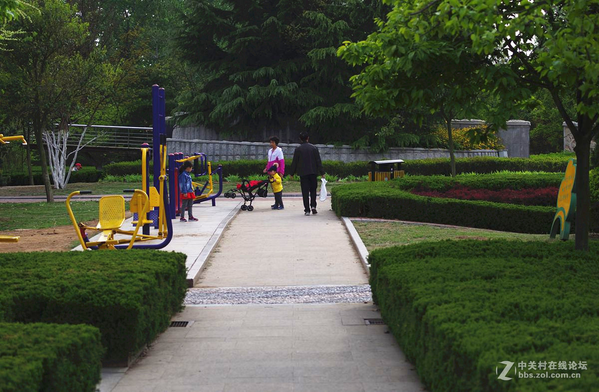 『春天的时光里』123...15P-中关村在线摄影论坛