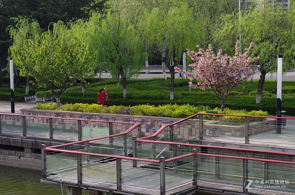 『春天的时光里』123...15P-中关村在线摄影论坛