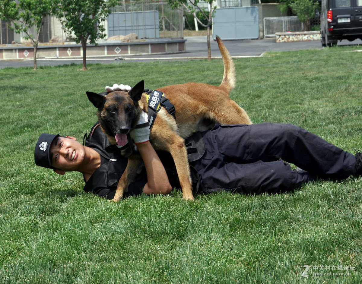 人犬情未了-中关村在线摄影论坛