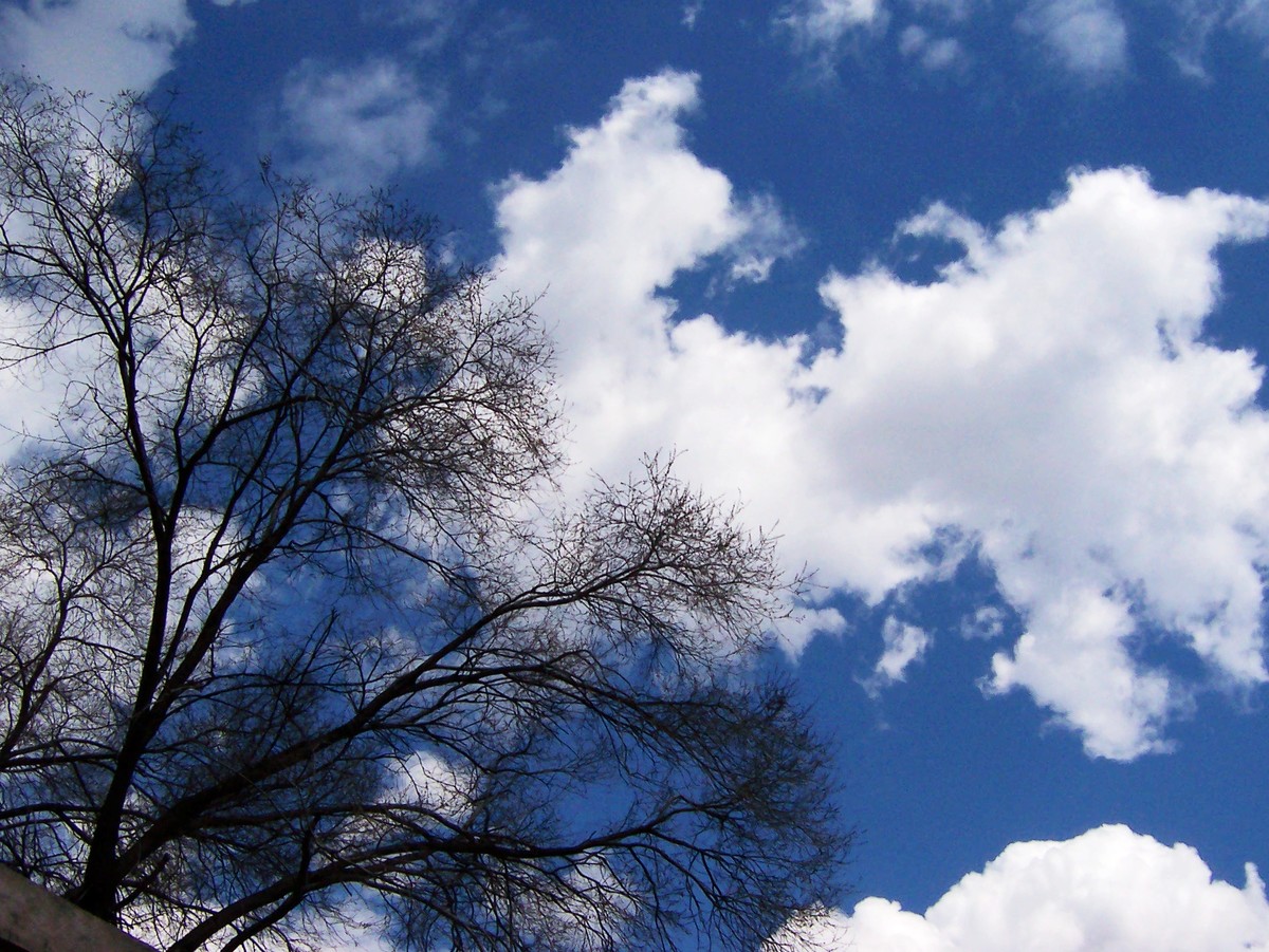 如此娇嫩的春绿-中关村在线摄影论坛