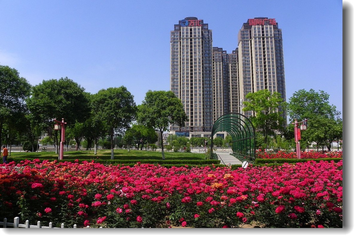 【随拍】-中关村在线摄影论坛