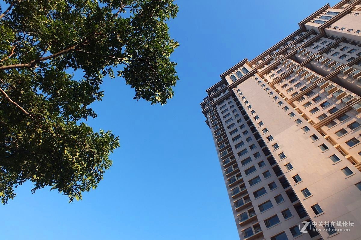 『小区里傍晚的光影』123...15P-中关村在线摄影论坛