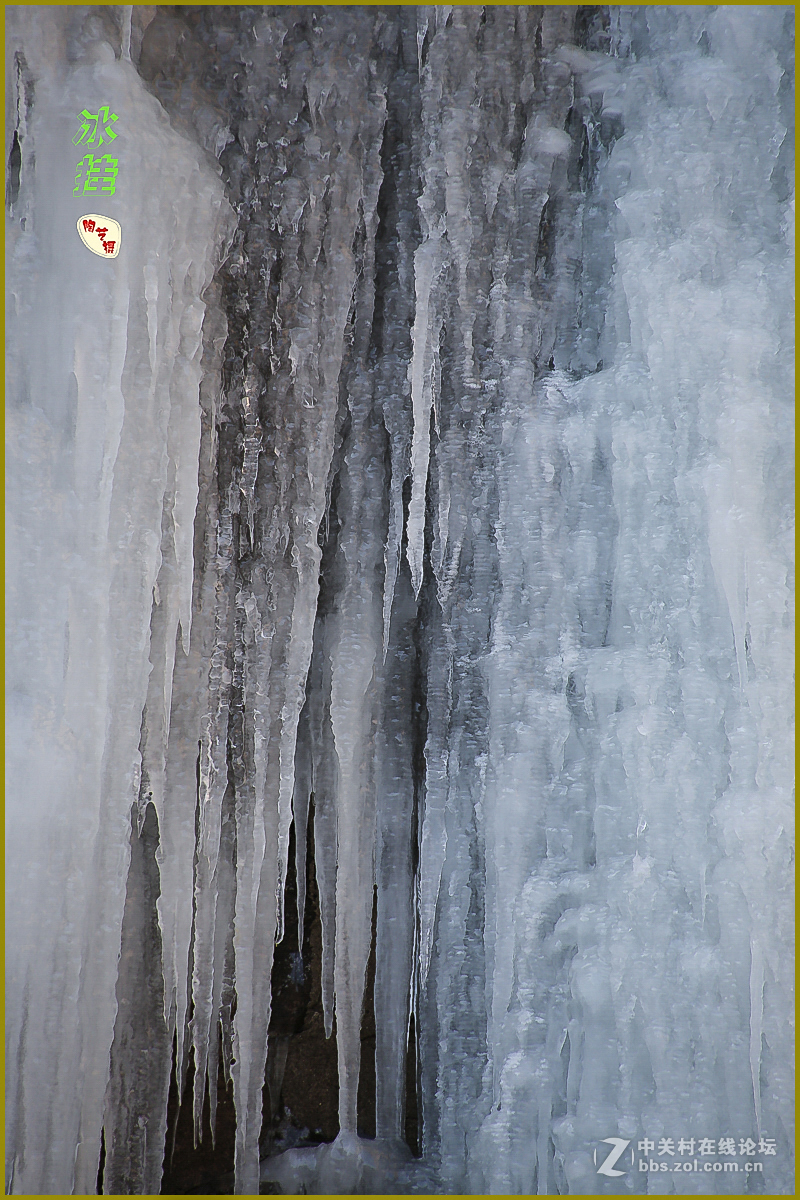 冰挂-中关村在线摄影论坛