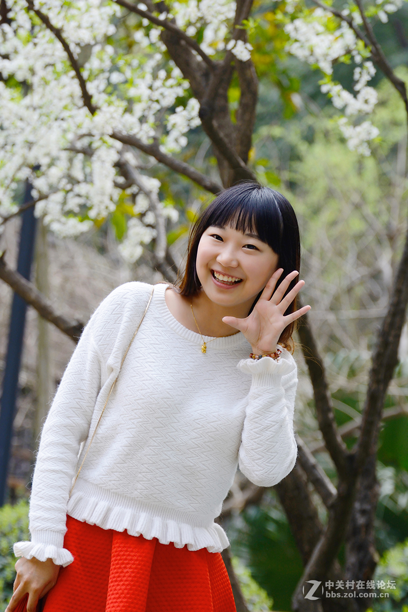 【高清图】花季-中关村在线摄影论坛