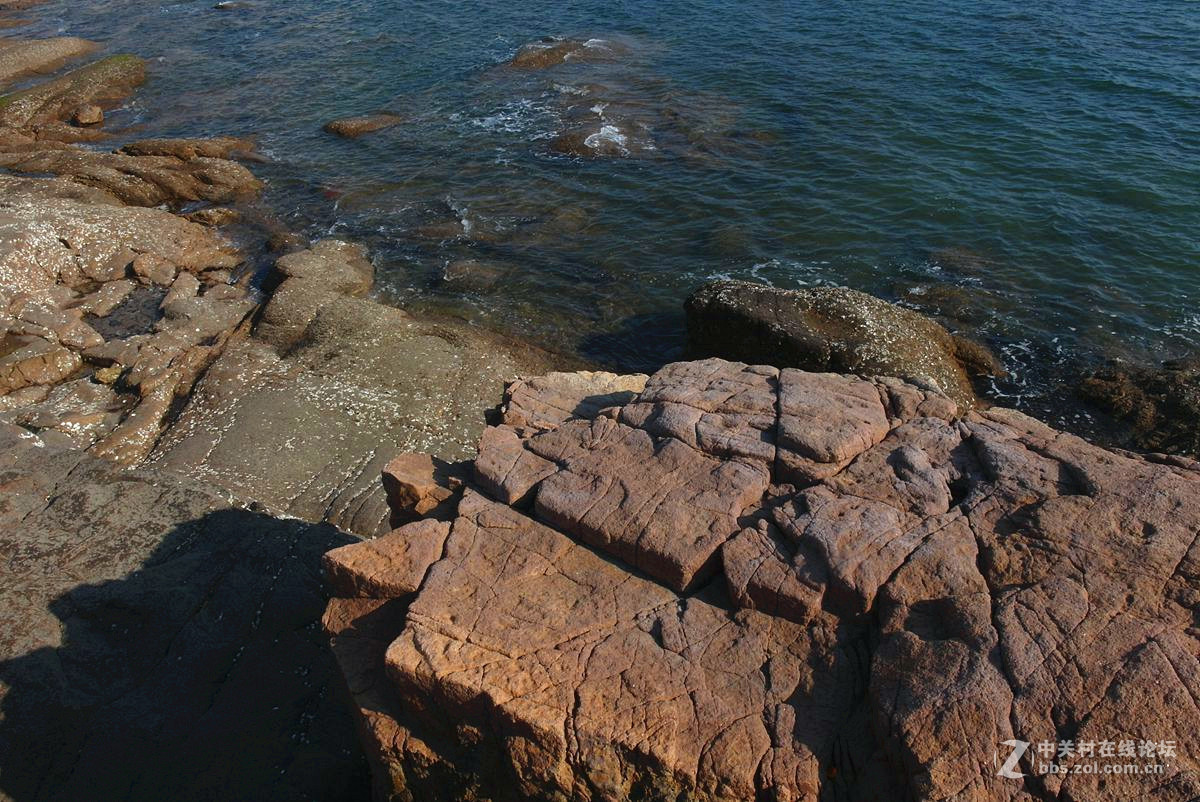 『礁石』123...12P-中关村在线摄影论坛