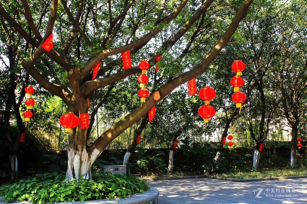 乡村一隅-中关村在线摄影论坛