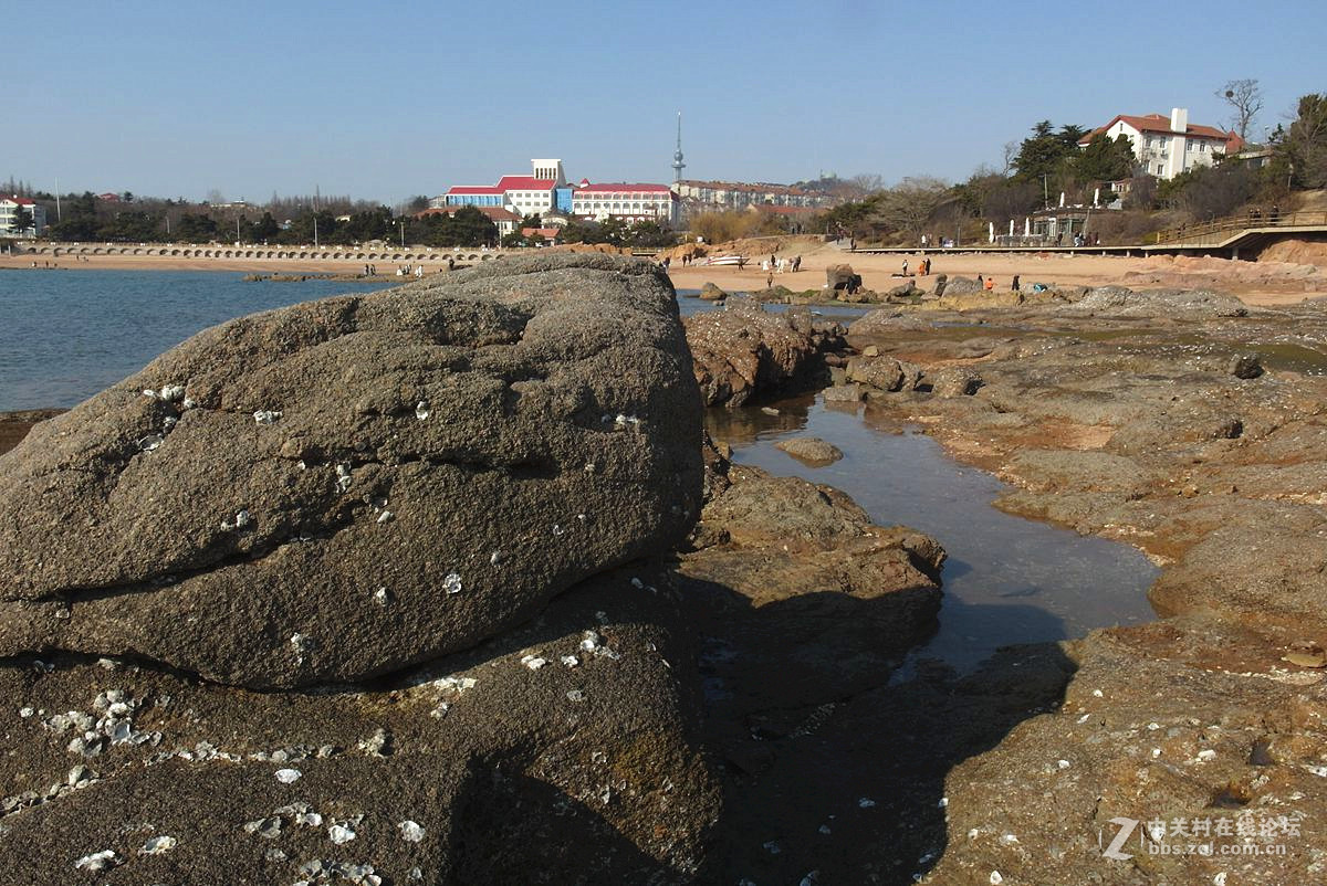 『礁石』123...12P-中关村在线摄影论坛