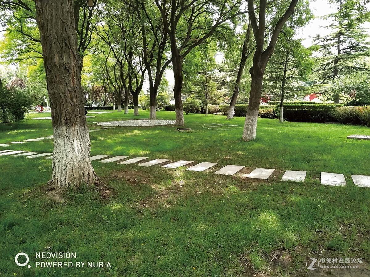 公园一角-中关村在线摄影论坛
