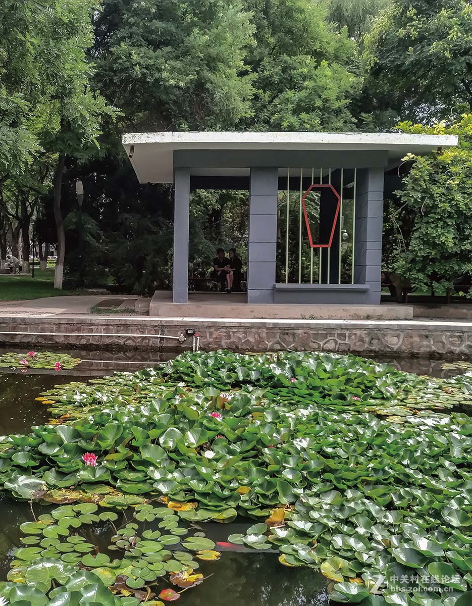 公园一角-中关村在线摄影论坛