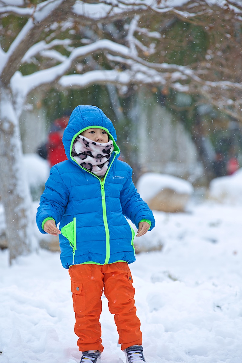 水上雪景小拍-中关村在线摄影论坛