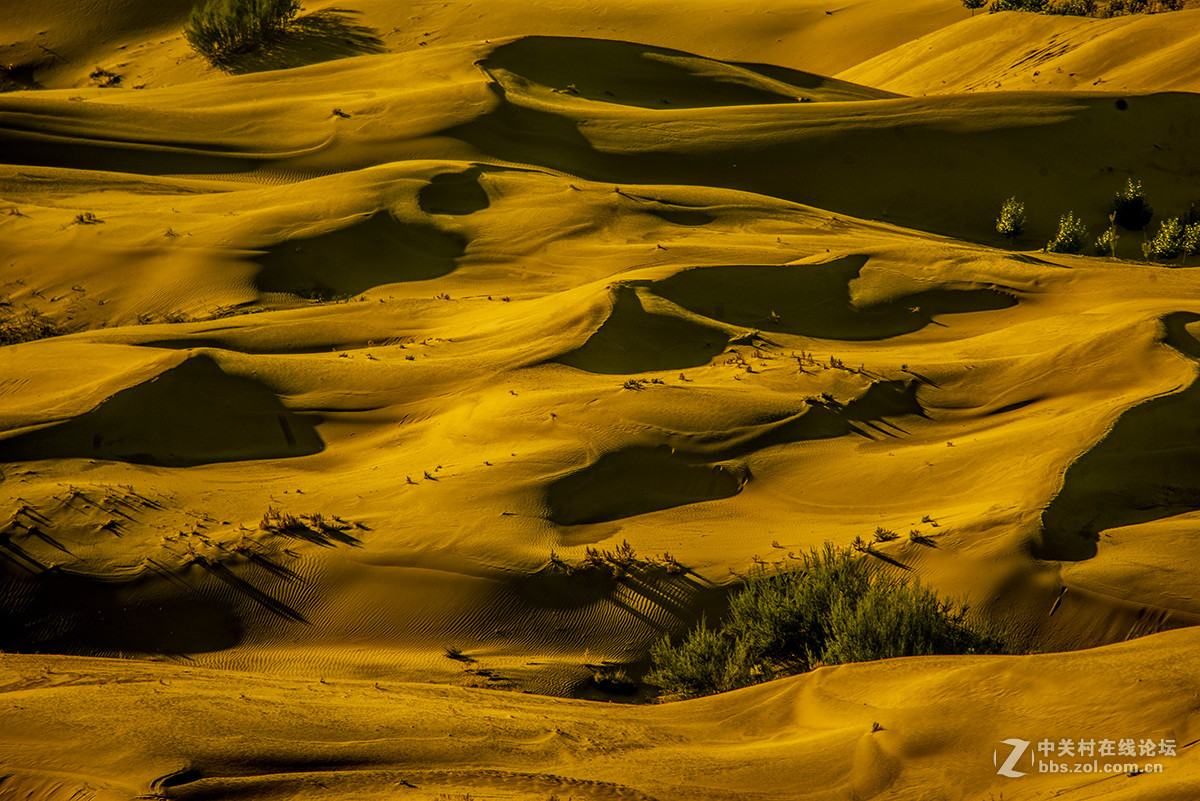 响沙湾-中关村在线摄影论坛