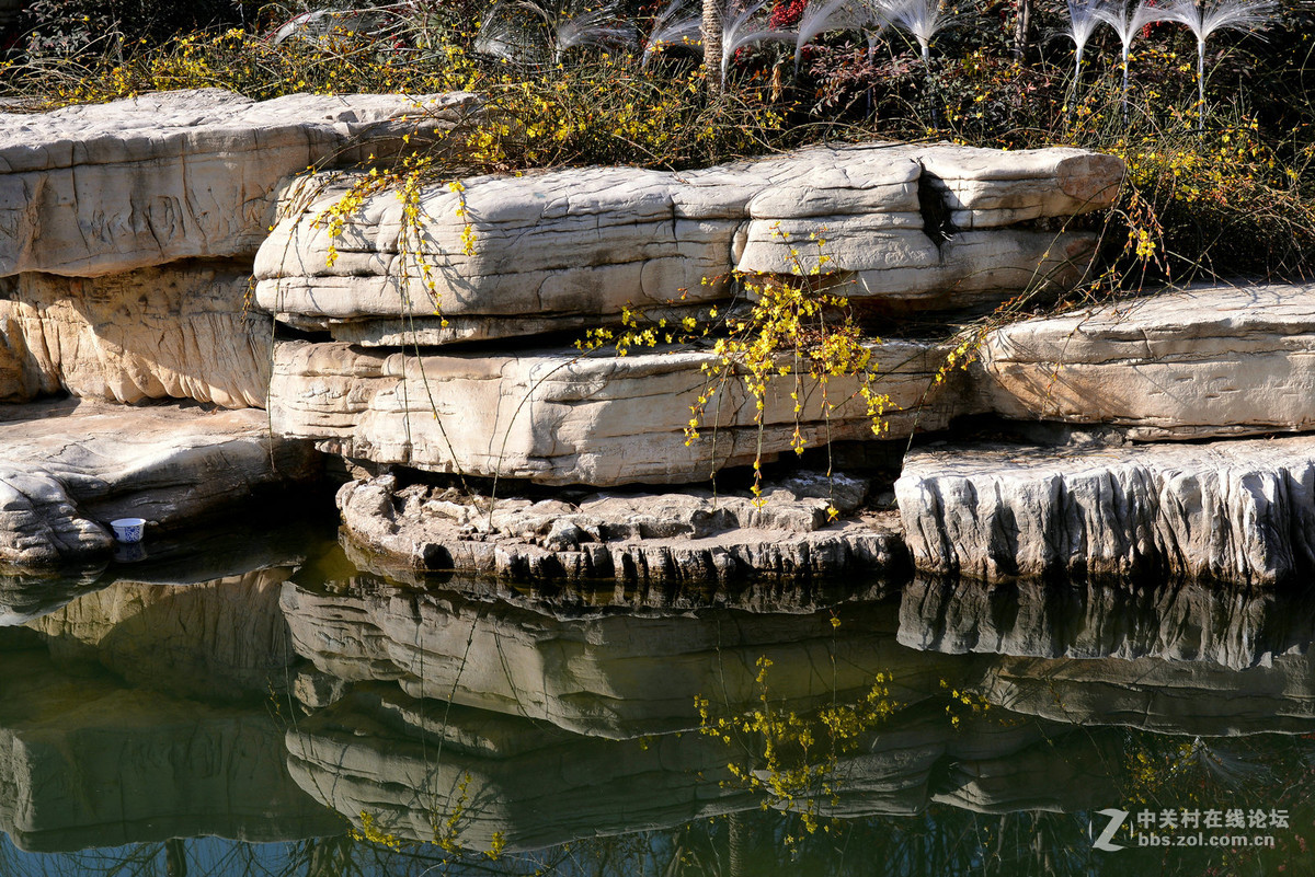 休闲随拍-中关村在线摄影论坛