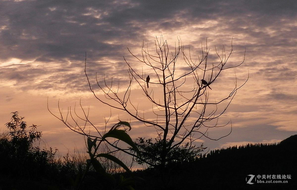 EX1-『夏云』123...11P-中关村在线摄影论坛