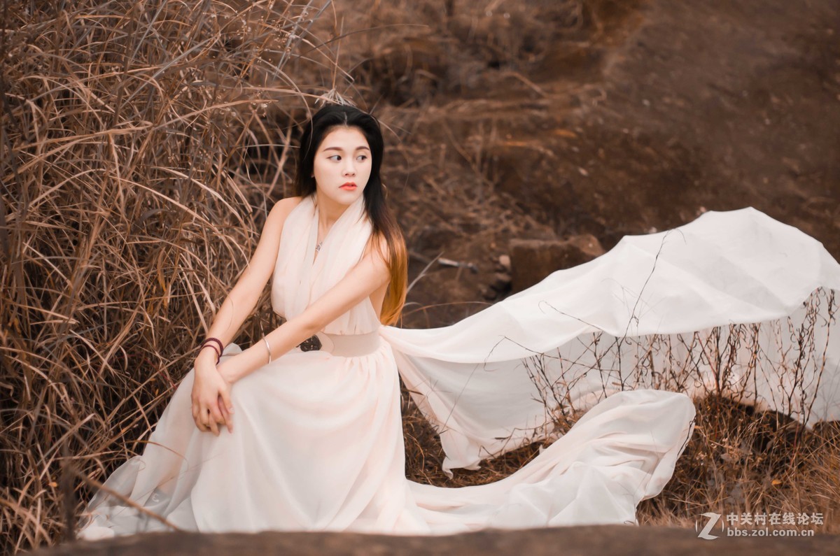 Reed memory-中关村在线摄影论坛