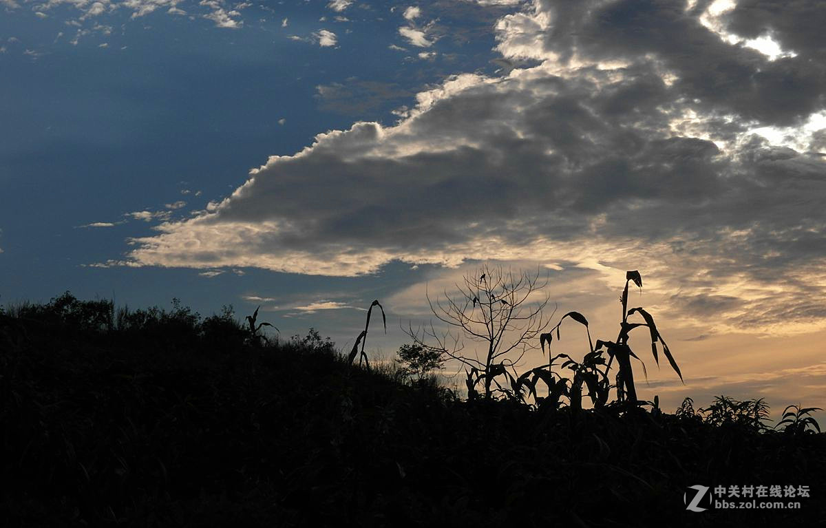 EX1-『夏云』123...11P-中关村在线摄影论坛