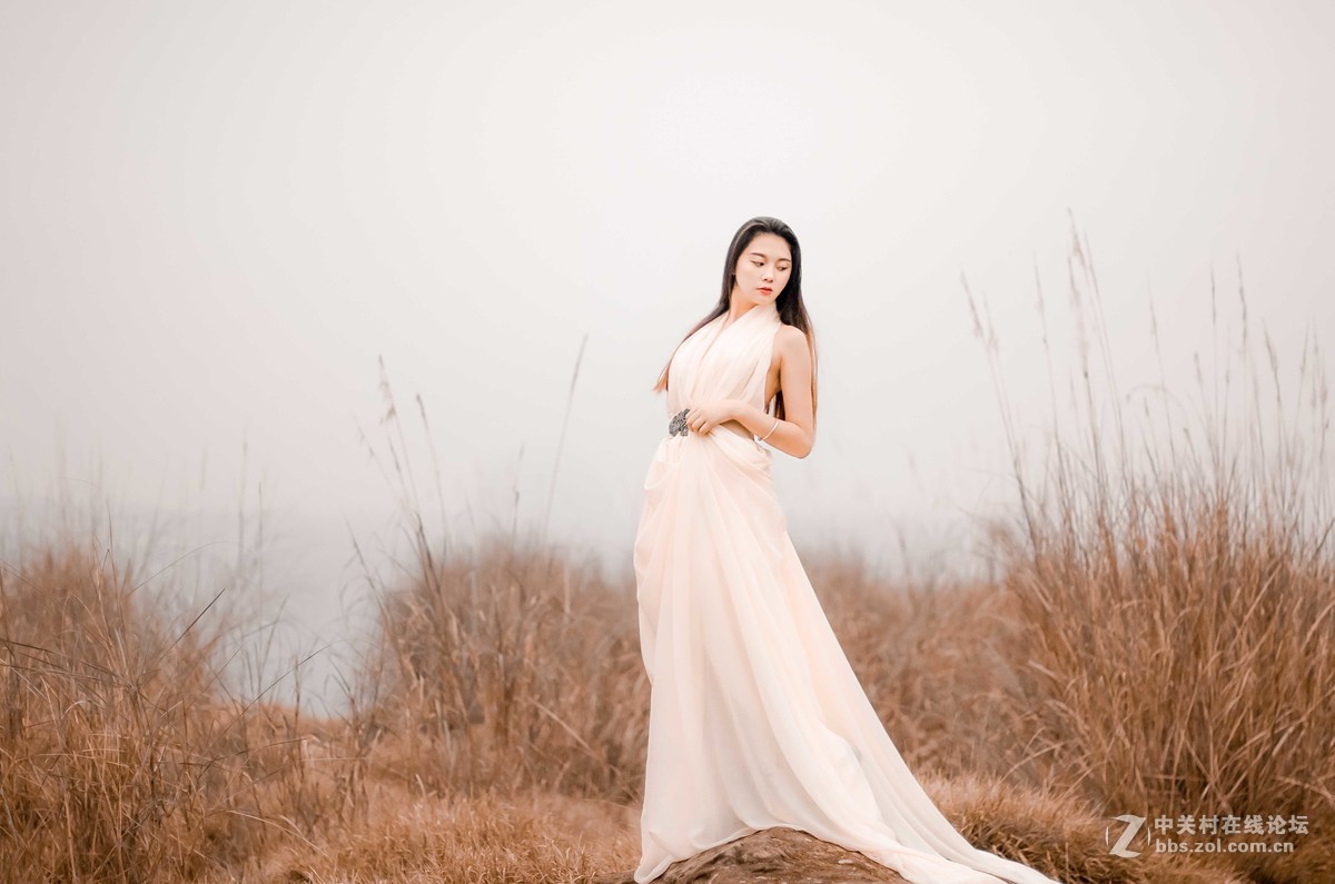 Reed memory-中关村在线摄影论坛