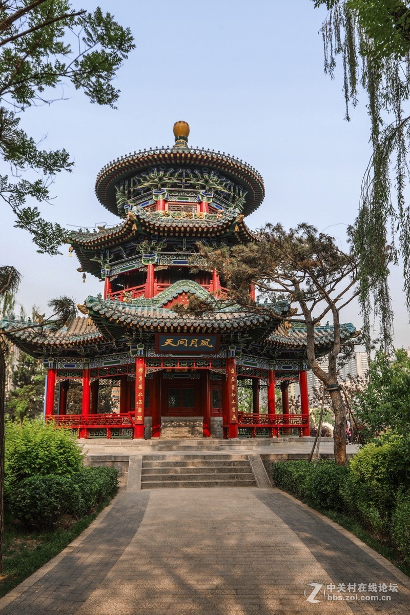 公园随拍。-中关村在线摄影论坛