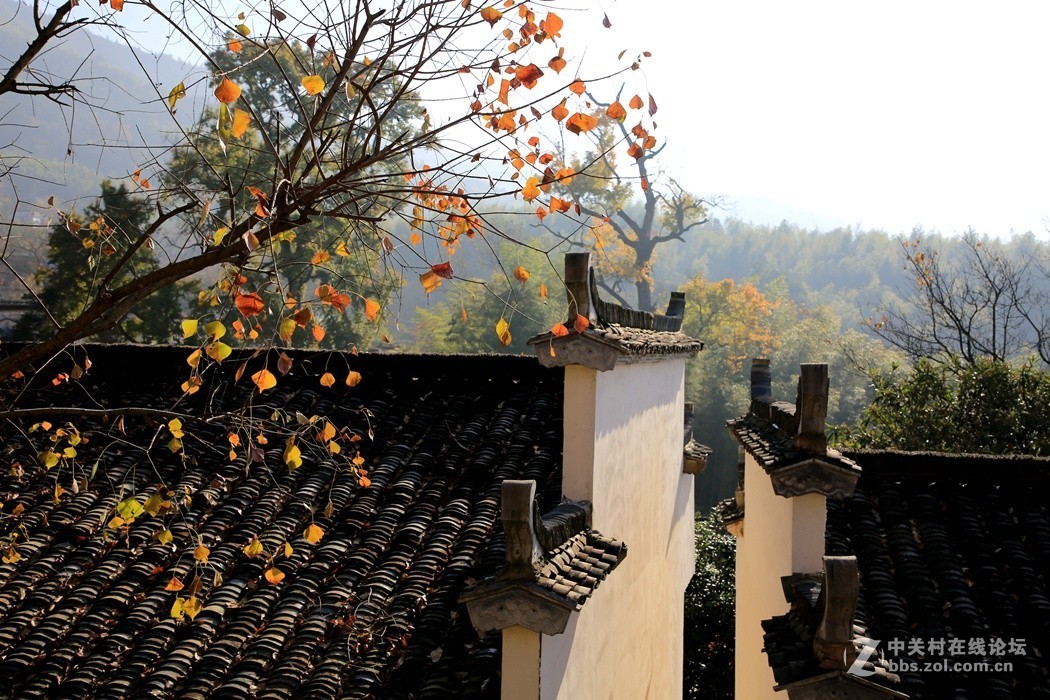 皖南婺源采风二、(秋色)、-中关村在线摄影论坛