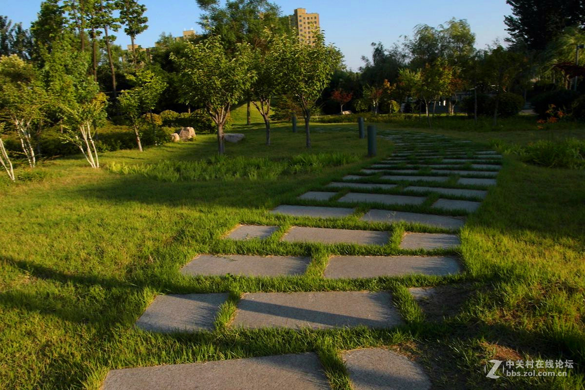 EX1-『天色将晚』123...13P-中关村在线摄影论坛