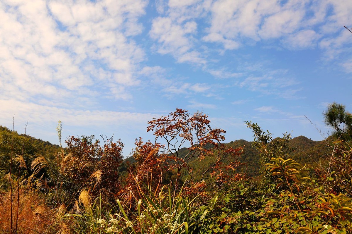 秋游道吾山-中关村在线摄影论坛