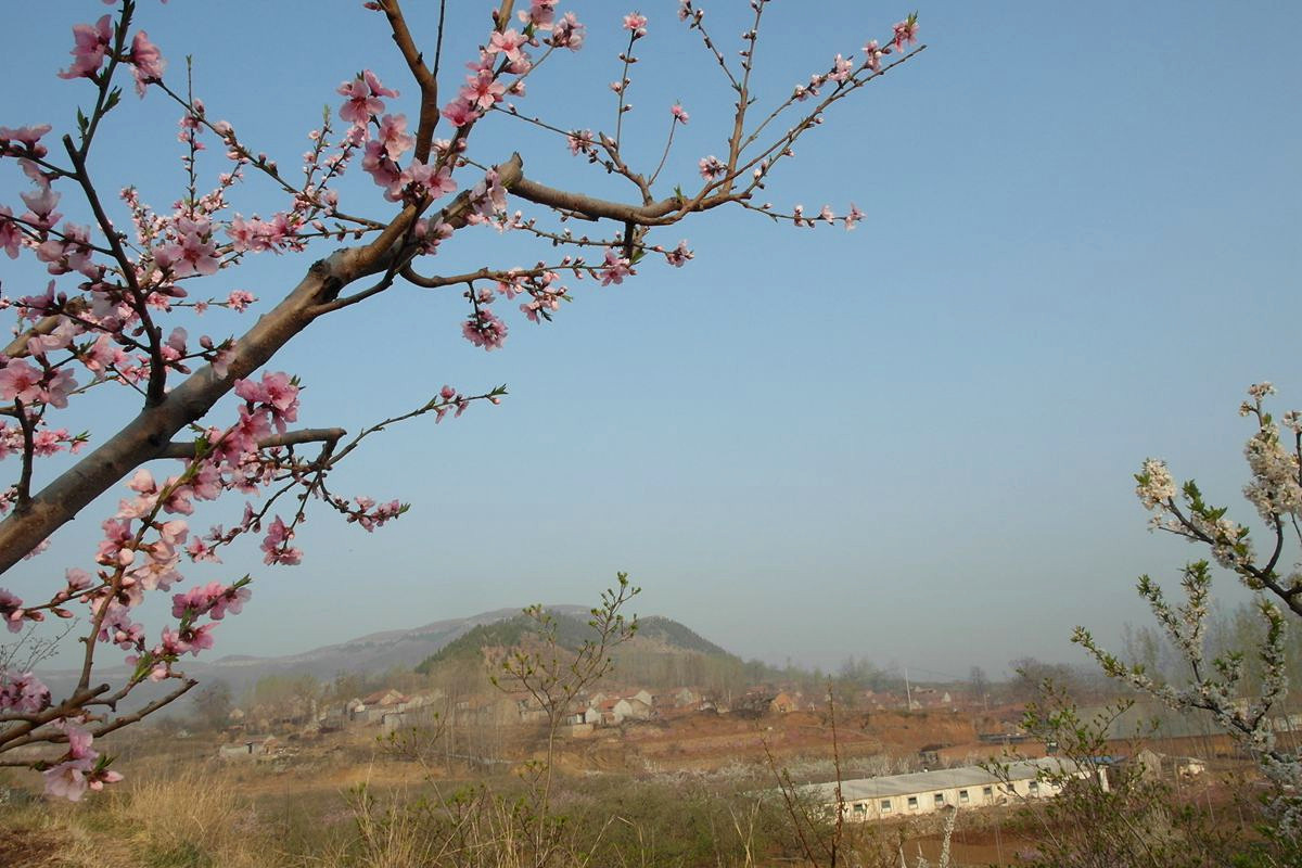 『沐浴在春日的山野里』123...14P-中关村在线摄影论坛