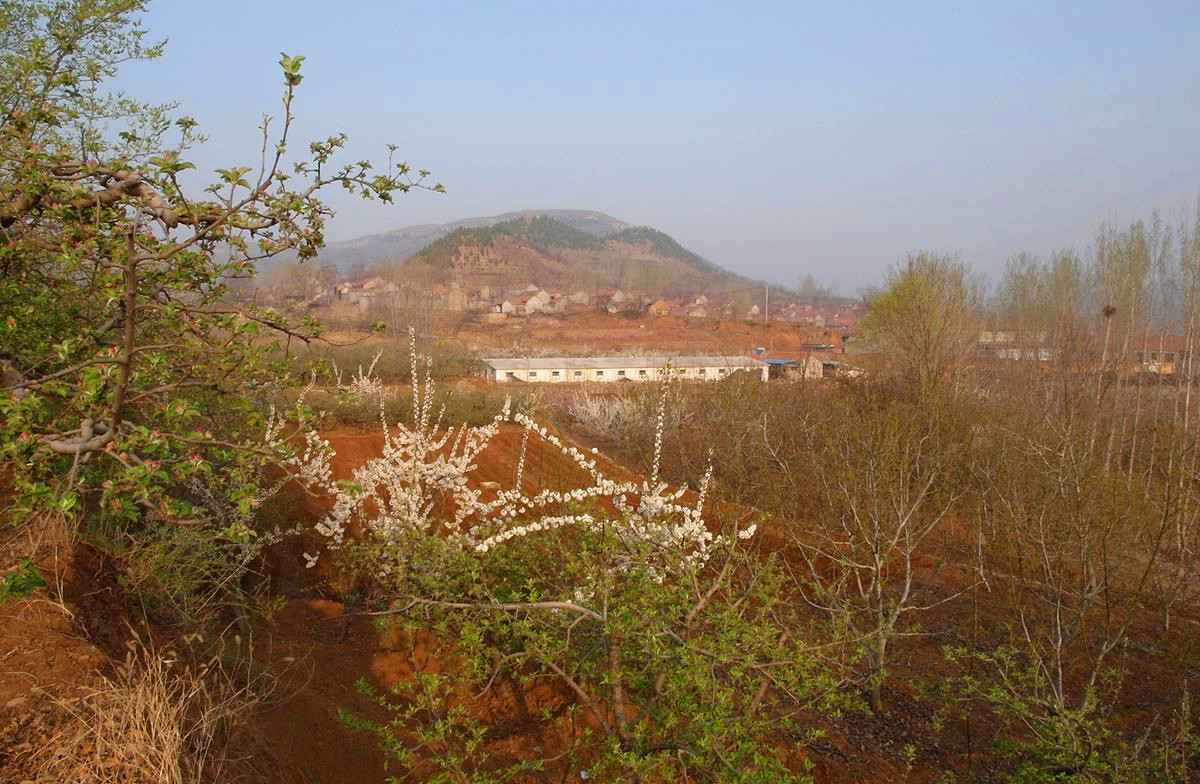 『沐浴在春日的山野里』123...14P-中关村在线摄影论坛