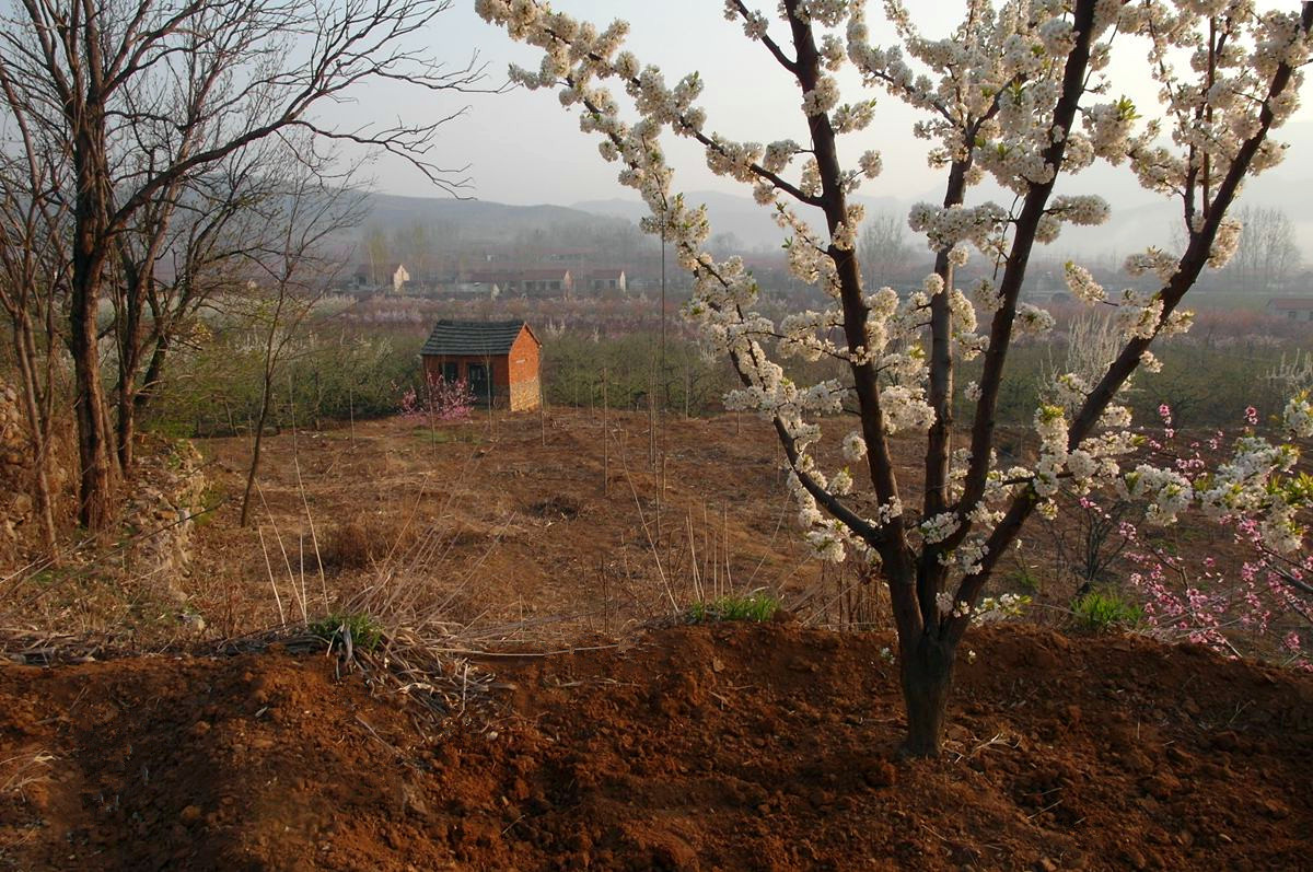 『沐浴在春日的山野里』123...14P-中关村在线摄影论坛
