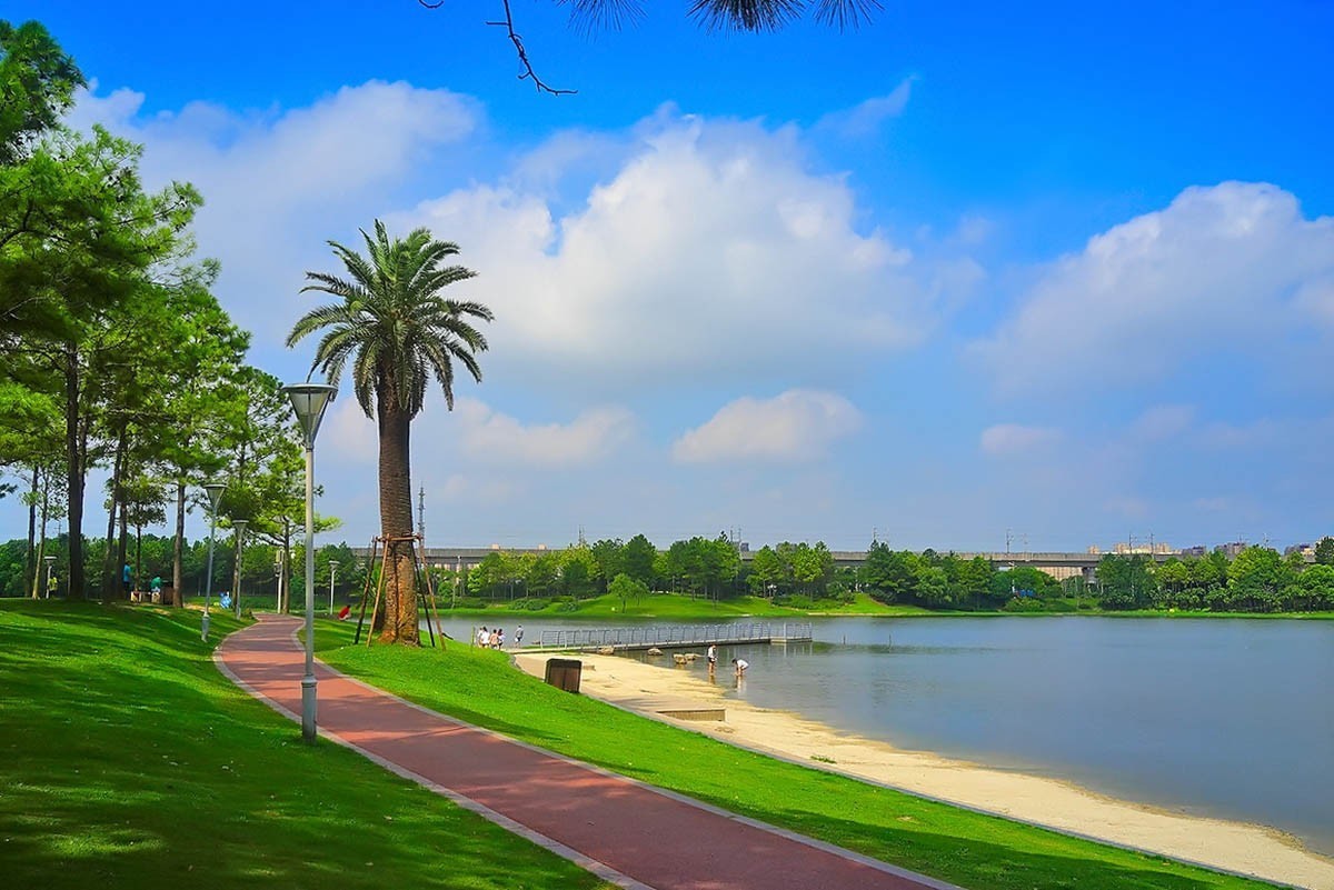 上海美兰湖 3-中关村在线摄影论坛