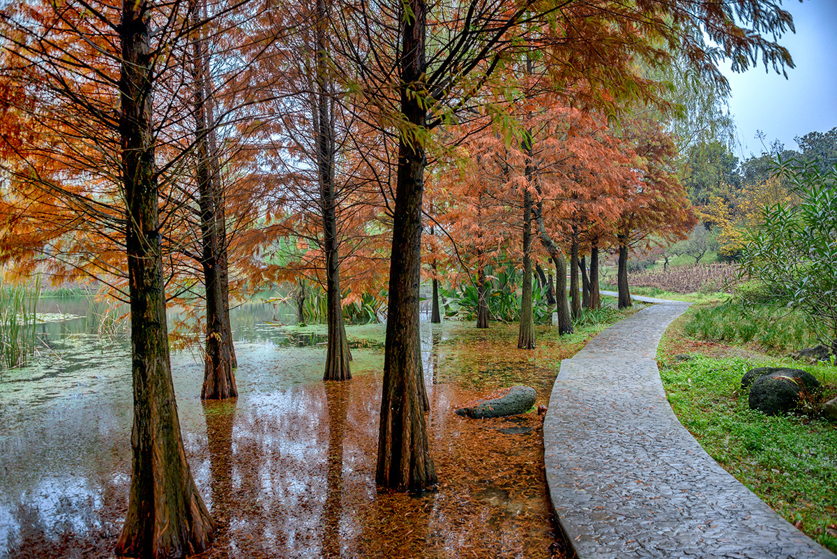 从秋天走过冬季-中关村在线摄影论坛