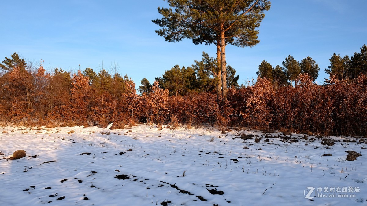 大兴安岭上【雪景风光】-中关村在线摄影论坛
