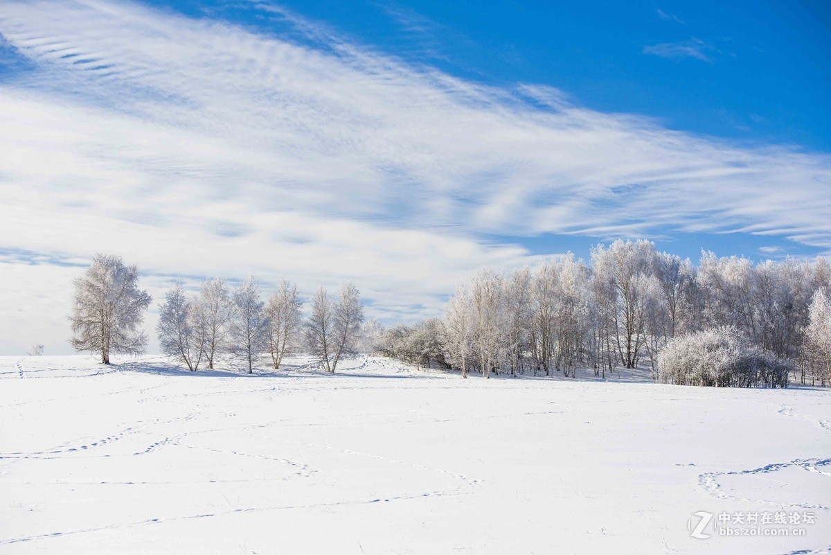 木兰围场坝上御道口雾凇-中关村在线摄影论坛