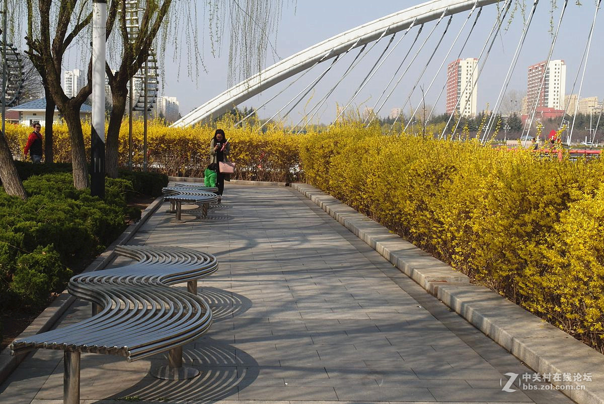 『花开时节』123...11p-中关村在线摄影论坛