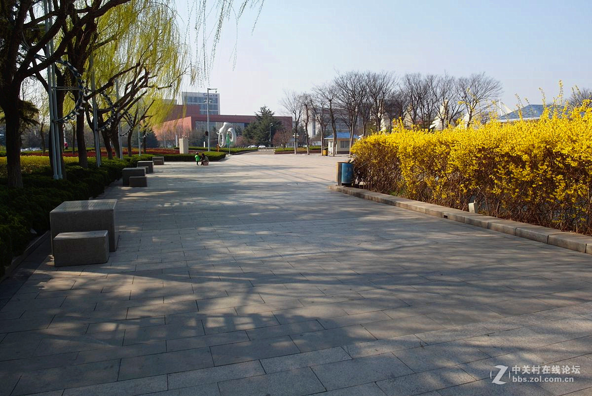 『花开时节』123...11p-中关村在线摄影论坛