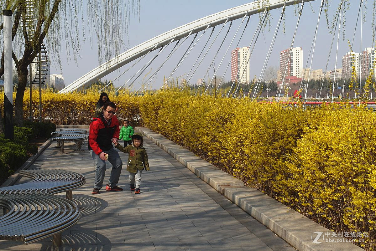 『花开时节』123...11p-中关村在线摄影论坛