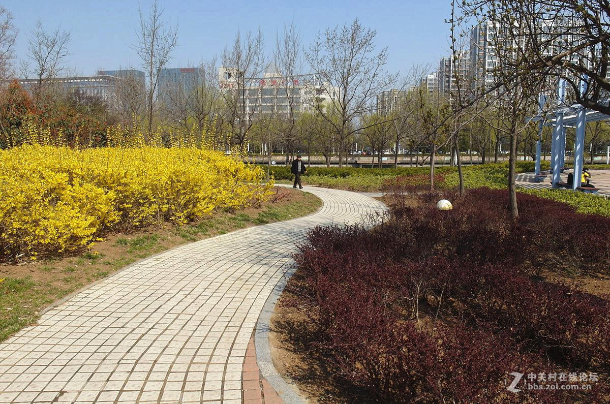 『花开时节』123...11p-中关村在线摄影论坛