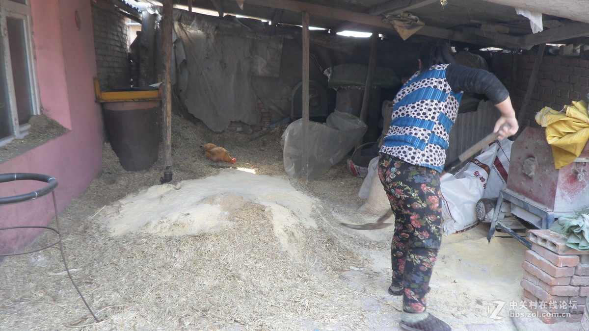 姐姐的一天-中关村在线摄影论坛