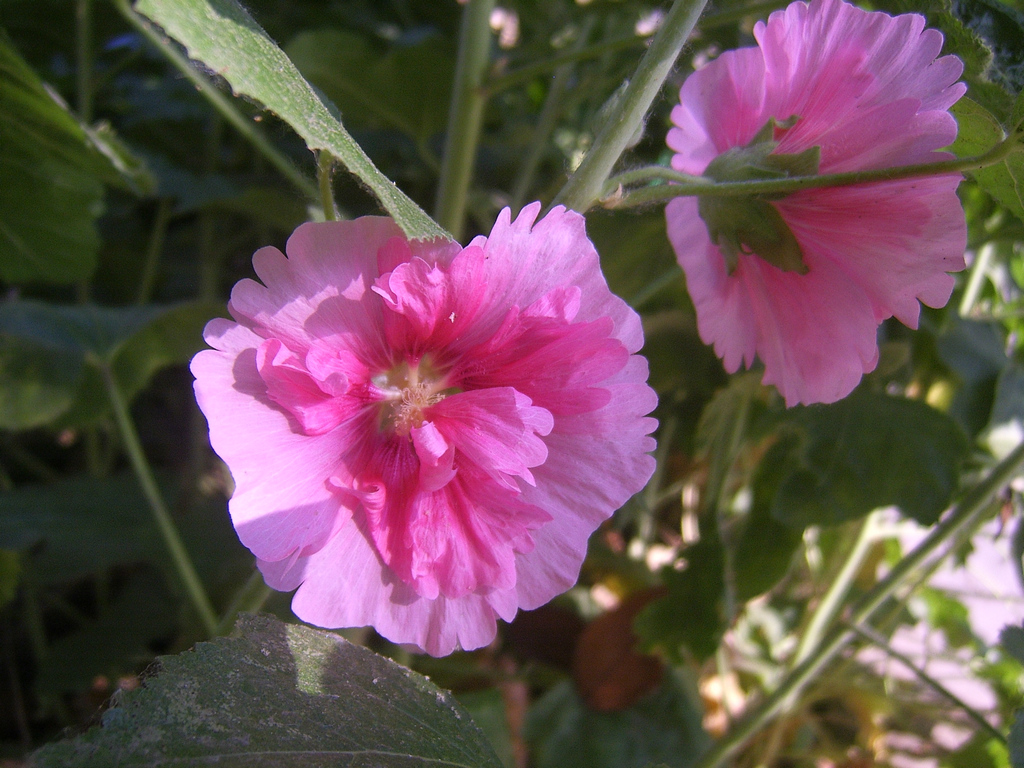 那时春天-中关村在线摄影论坛