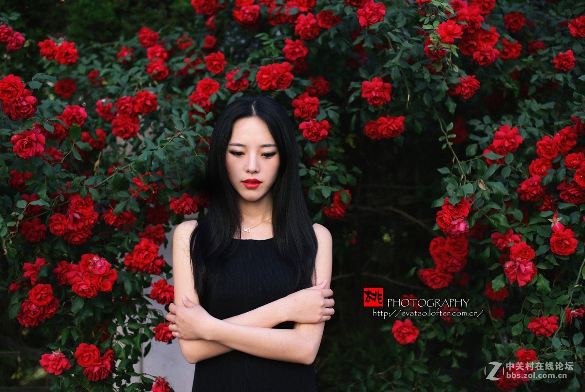 Miss Rosa.-中关村在线摄影论坛