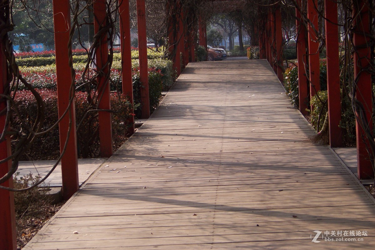 812试拍-中关村在线摄影论坛