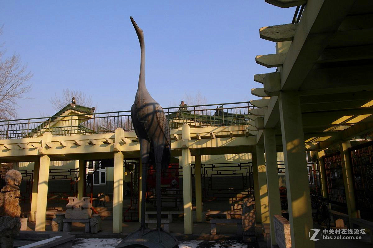 『松鹤园』123...16P-中关村在线摄影论坛