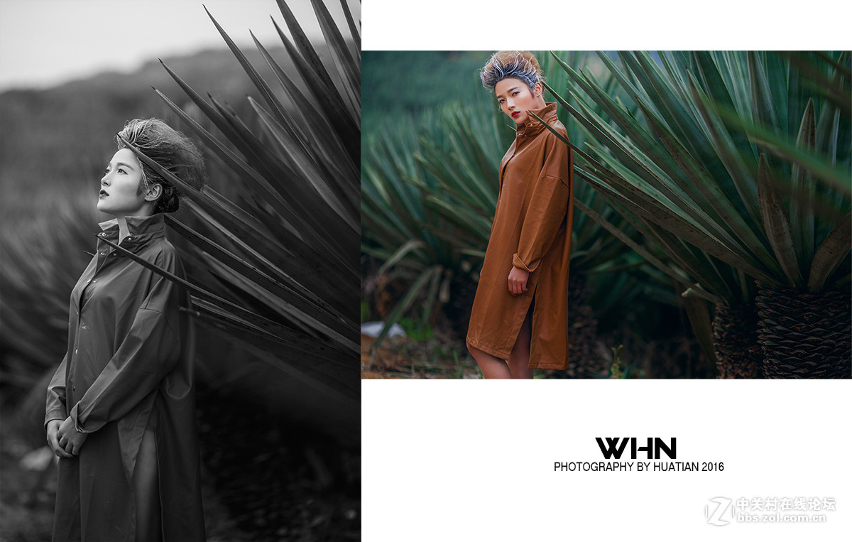 LINJIAO-中关村在线摄影论坛