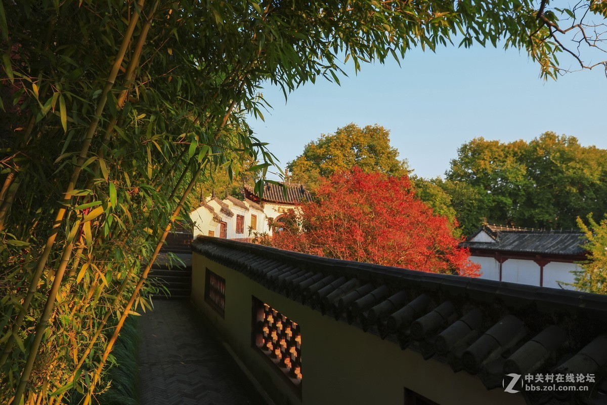 湖北黄冈一东坡赤壁。-中关村在线摄影论坛