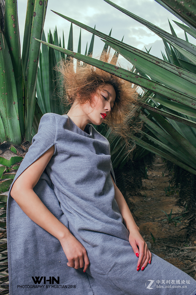 LINJIAO-中关村在线摄影论坛