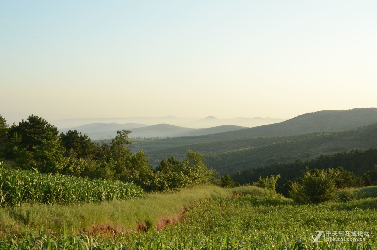 天然氧吧-中关村在线摄影论坛