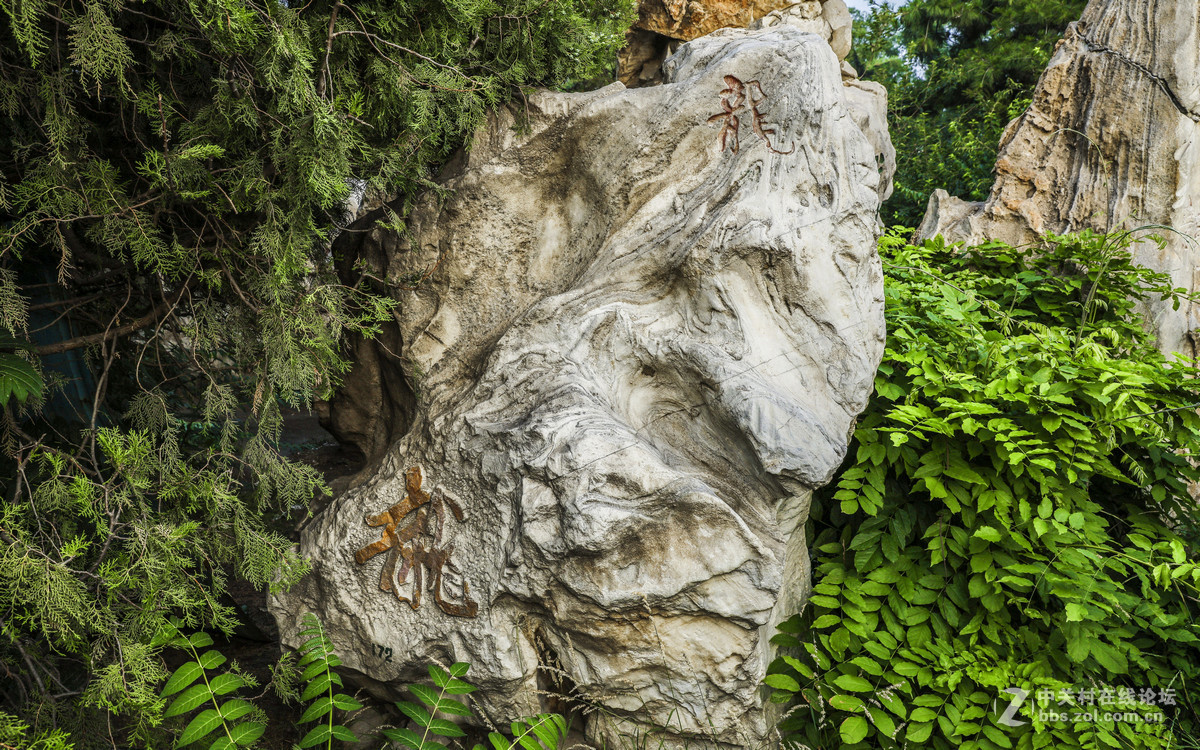 北京龙潭湖公园龙字石林2（请假贴）、祝大家端午节快乐！-中关村在线摄影论坛