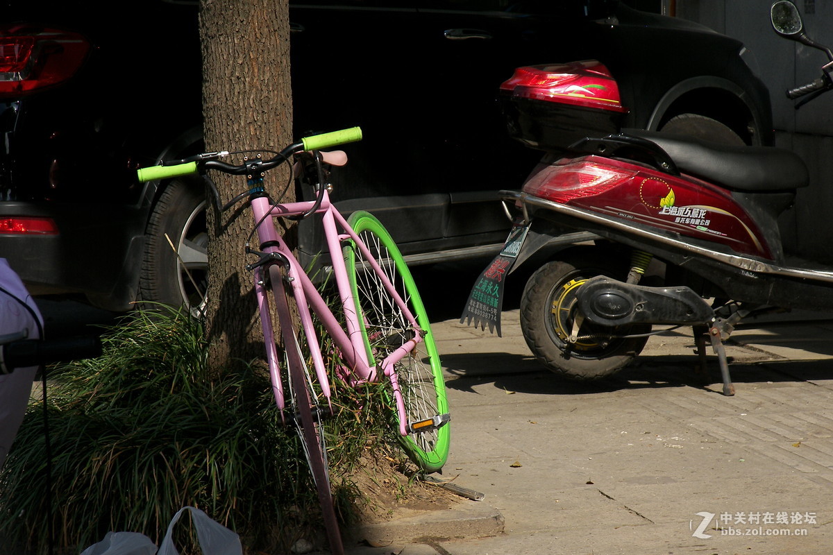 p880随行随摄-中关村在线摄影论坛