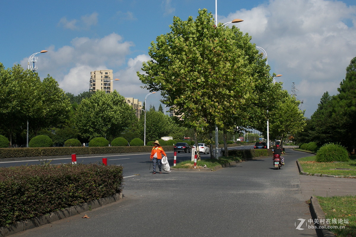 p880随行随摄-中关村在线摄影论坛